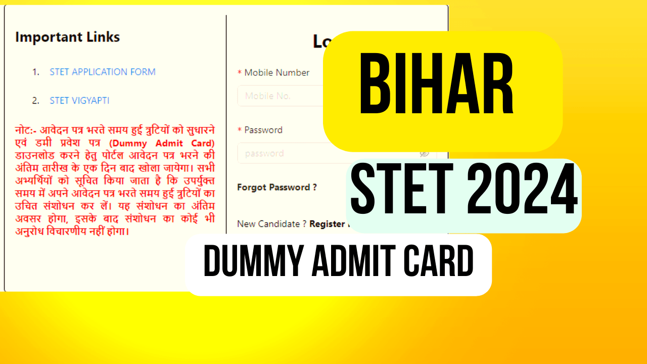 4th Bihar STET Dummy Admit Card 2024 download (bsebstet2024.com)